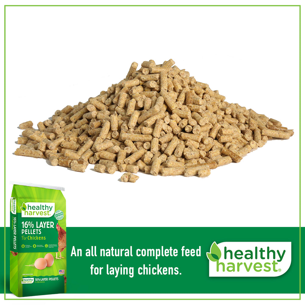 16% Layer Pellets 40 lb Bag | Layer Pellets for Chickens | Healthy ...