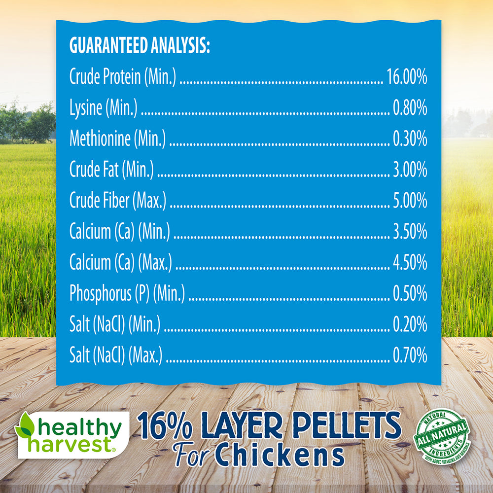 16% Layer Pellets 40 lb Bag | Layer Pellets for Chickens | Healthy ...
