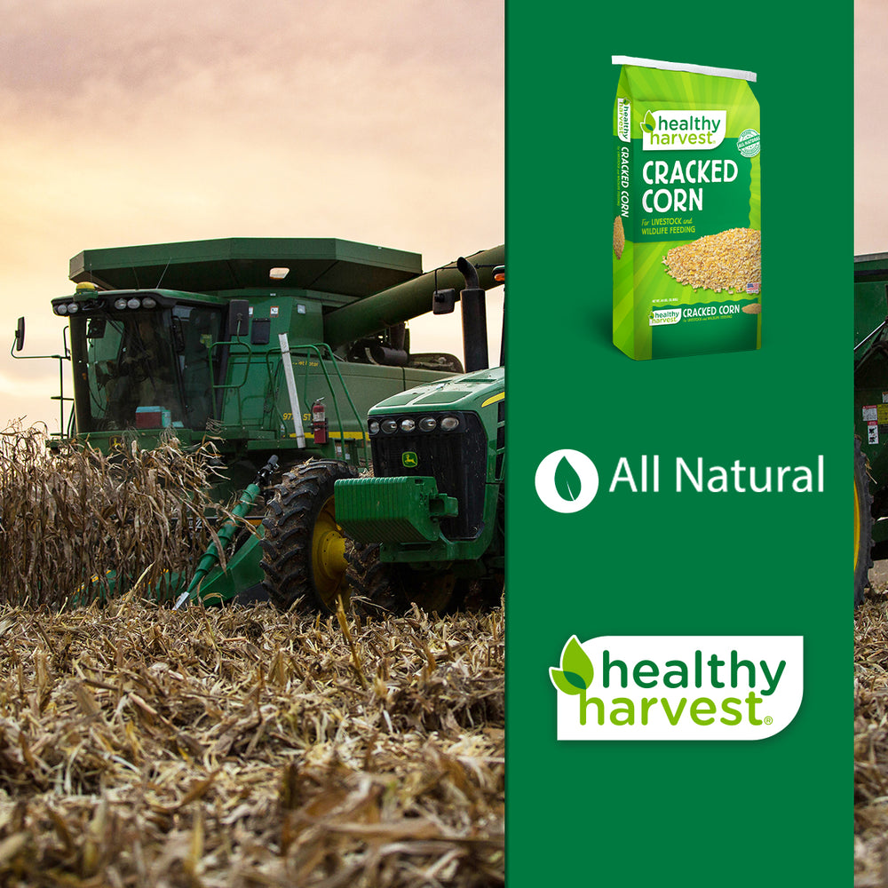 Cracked Corn 40 lb Bag | Livestock and Wildlife Feed | Healthy Harvest ...