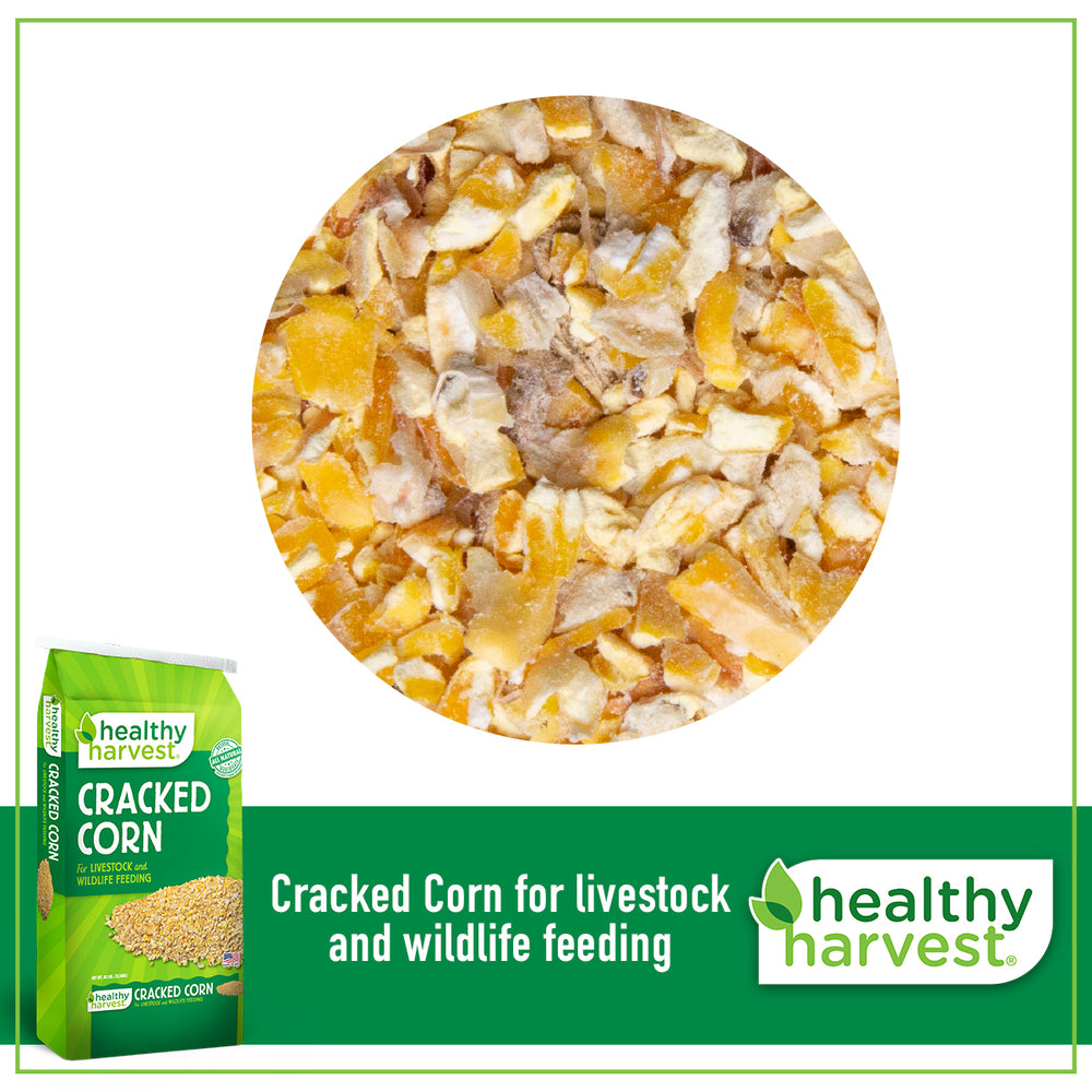 Cracked Corn 40 lb Bag | Livestock and Wildlife Feed | Healthy Harvest ...