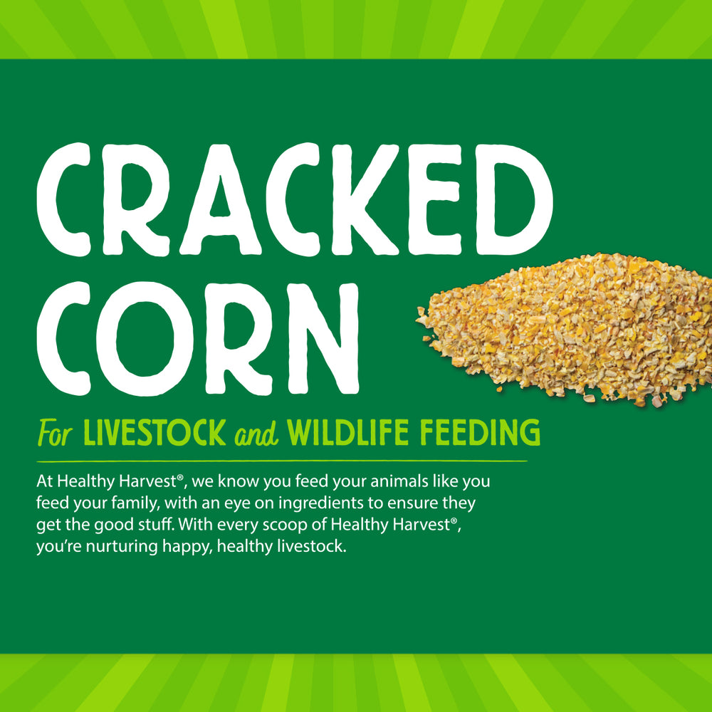 Cracked Corn 40 lb Bag | Livestock and Wildlife Feed | Healthy Harvest ...