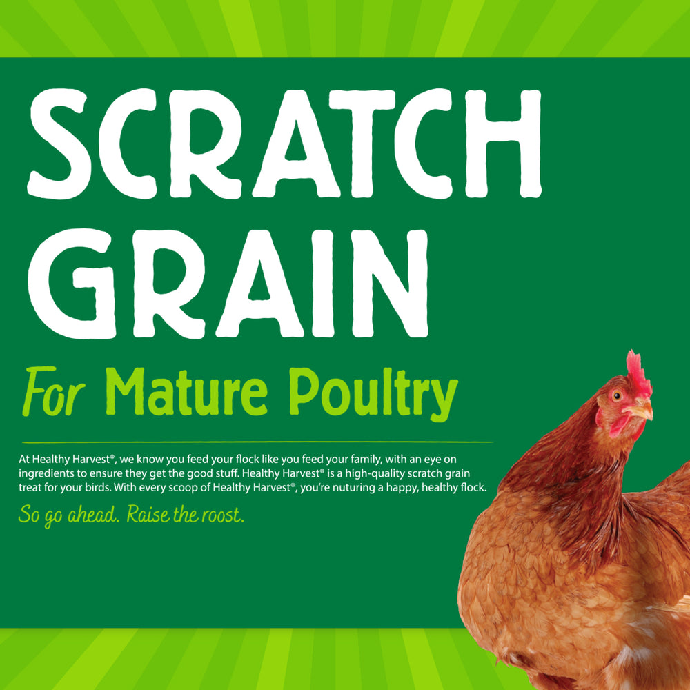 Scratch Grain 40 lb Bag | Chicken Feed | Healthy Harvest – Healthy ...